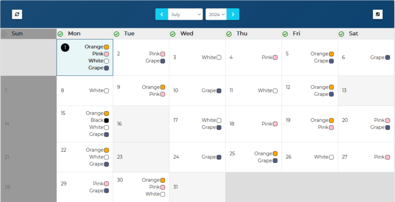 CONNECTIVITY SOLUTIONS - Dominion Diagnostics